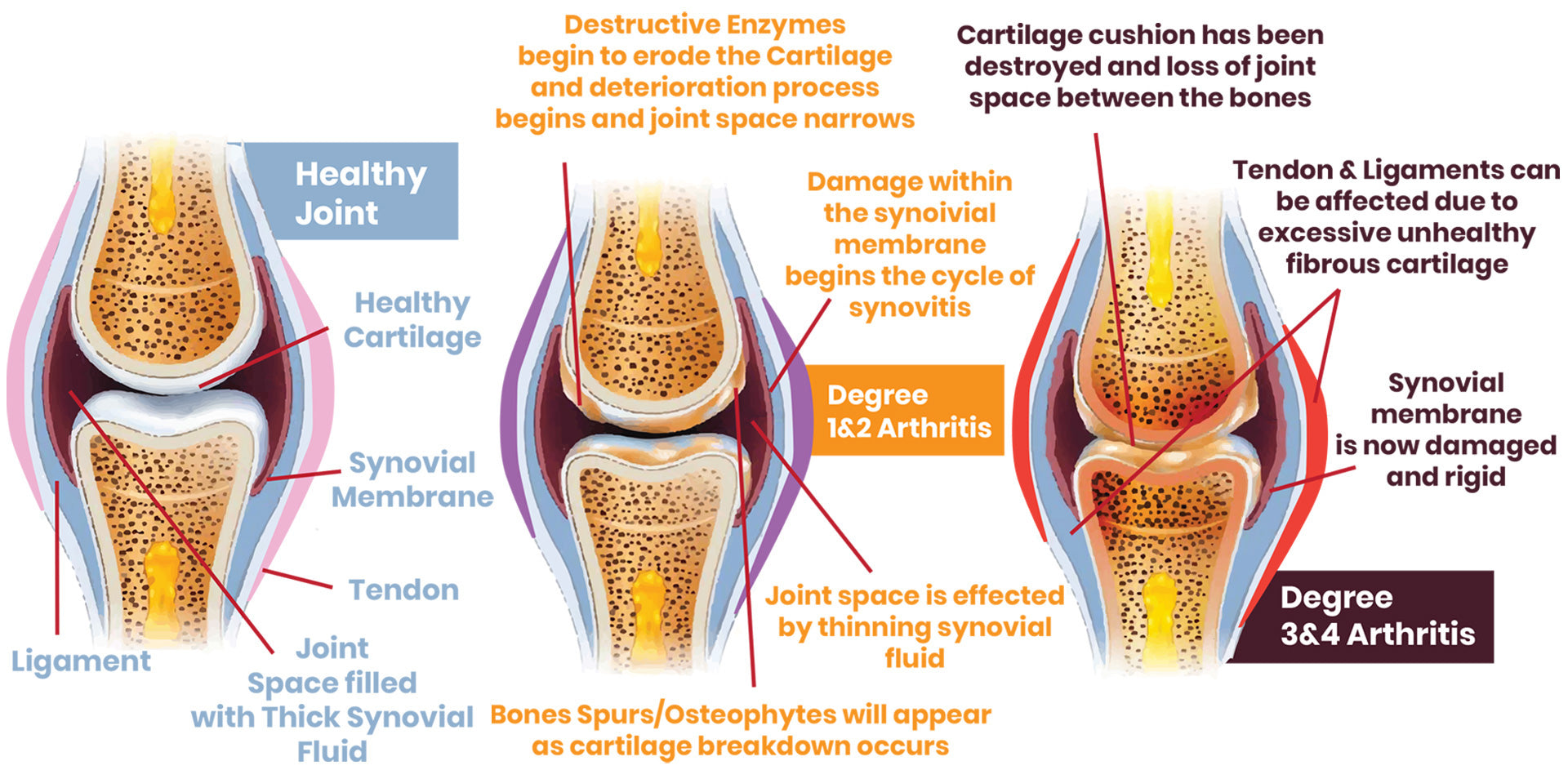 Education – OptiWize