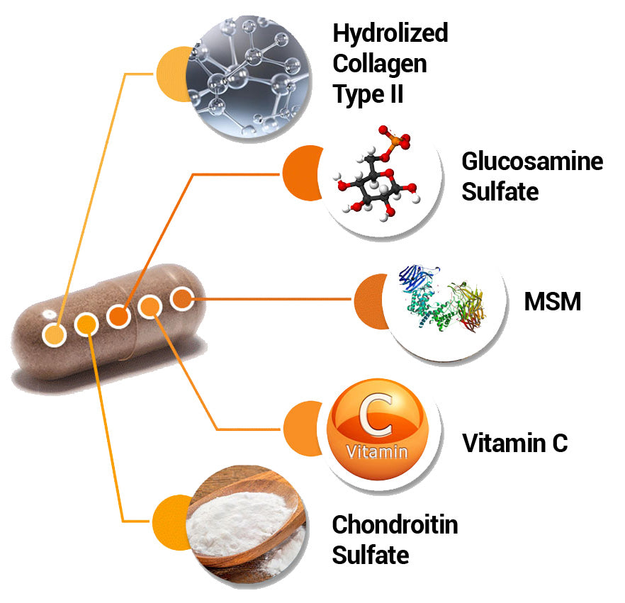 OptiWize Collagen +Plus Human Joint Health Supplement