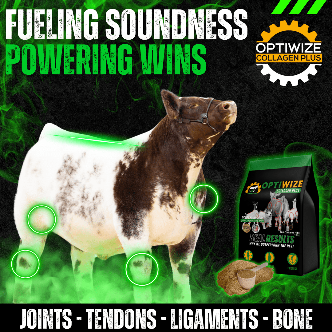 OptiWize Collagen +Plus Livestock Joint Supplement
