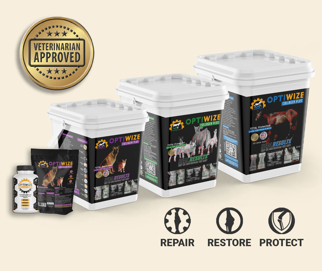 OptiWize Equine, Livestock, Pets and Human supplement